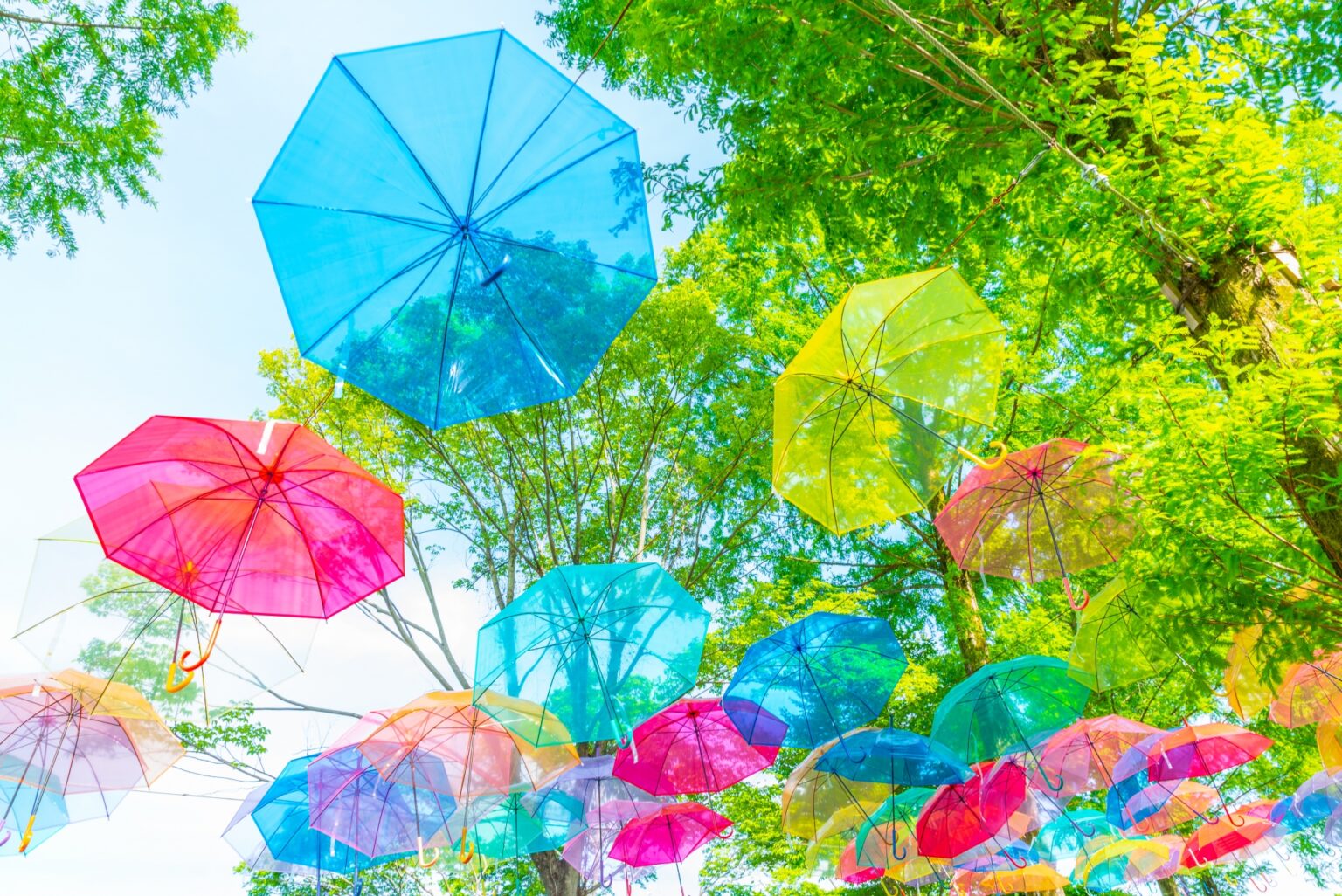 週末の雨に悩まされる理由とは？休みの日や予定がある日に限って降る雨の謎 | tomomoの彩りブログ